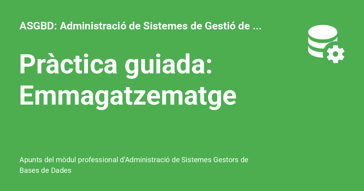 Pràctica guiada: Emmagatzematge - ASGBD: Administració de Sistemes de Gestió de Bases de Dades